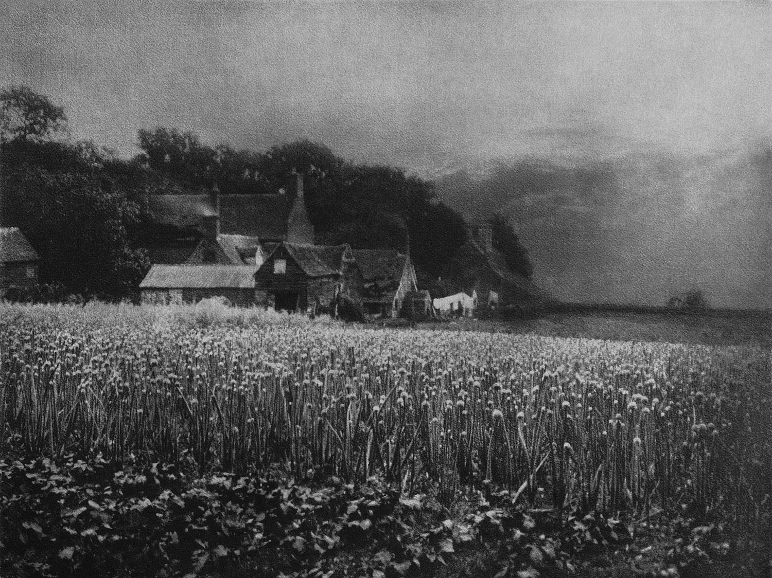 George Davison - Foto con Mac.-Foto con Mac.-